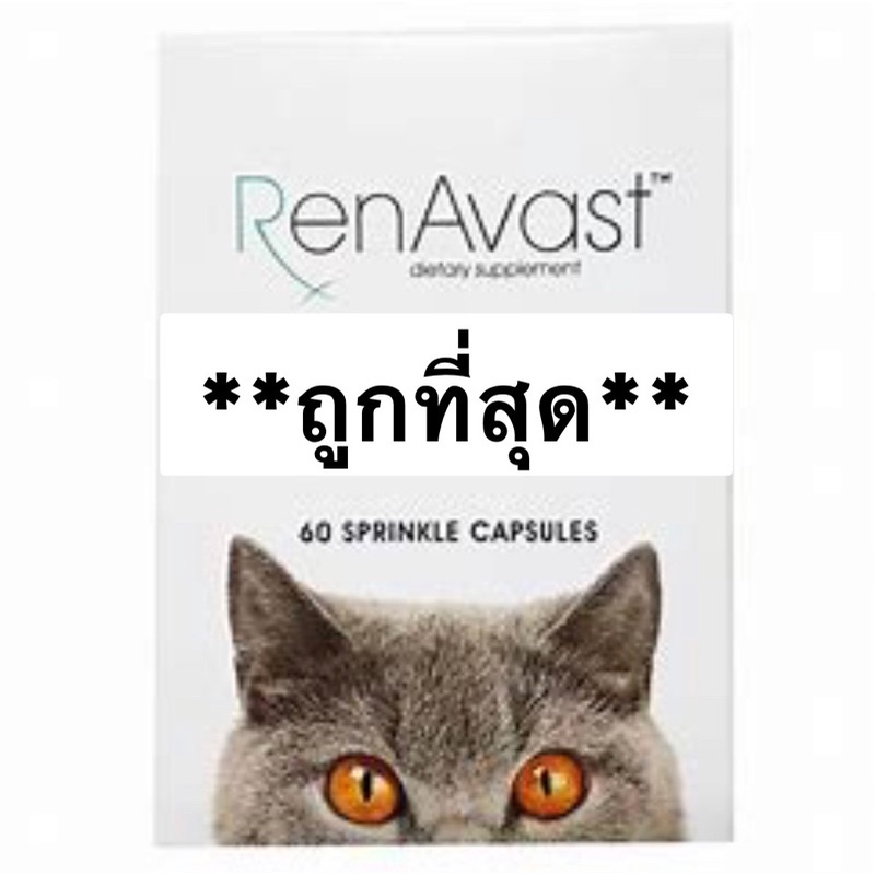 Renavast อาหารเสริมโปรตีนสำหรับน้องแมว - chewies42 - ThaiPick