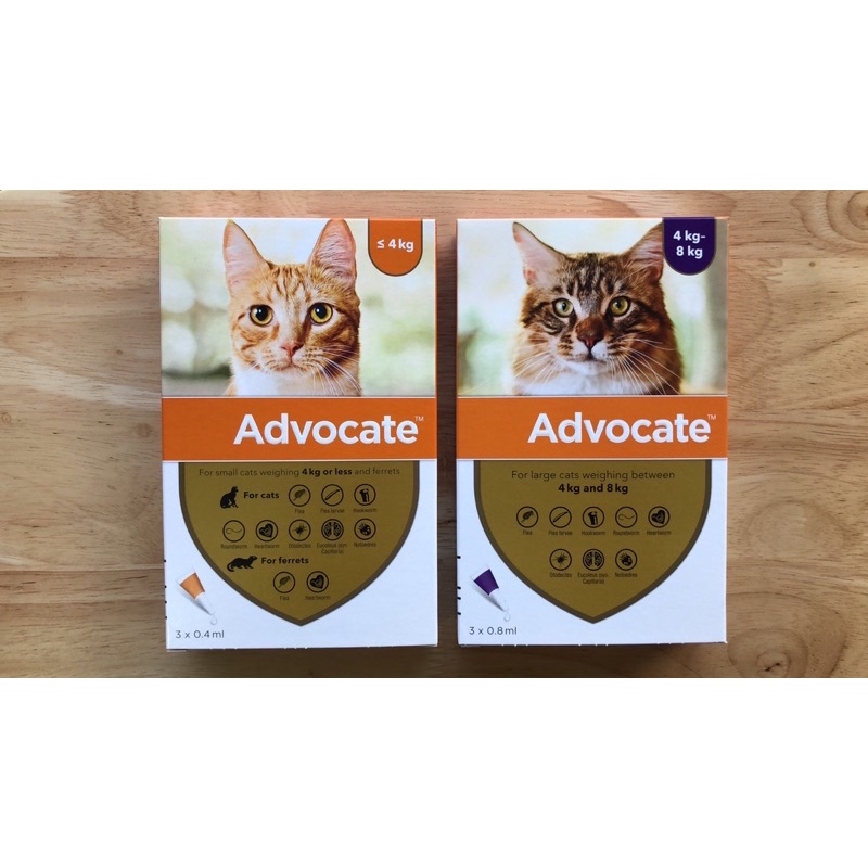 advocate cats 0-4kg(สีส้ม) - prae_pin - ThaiPick