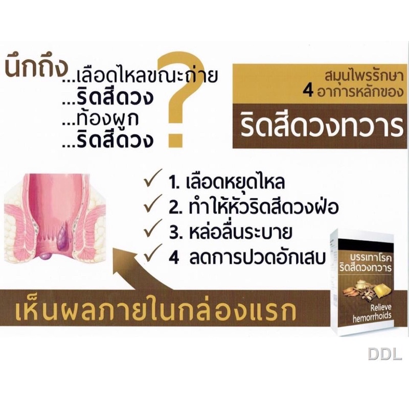 SAND - M LEON ลีออน ริดสีดวงทวาร ( 1 กล่อง 30 แคปซูล ) ไม่ปวดอักเสบ ...