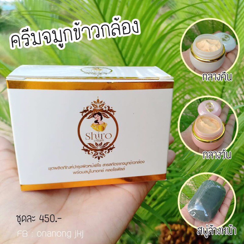 ครีมจมูกข้าวกล้อง (Shiro cream) ครีมชิโร | Shopee Thailand