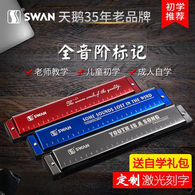 Swan Harmonica 24 Hole Polyphonic C Beginner Student Adult Stress ...
