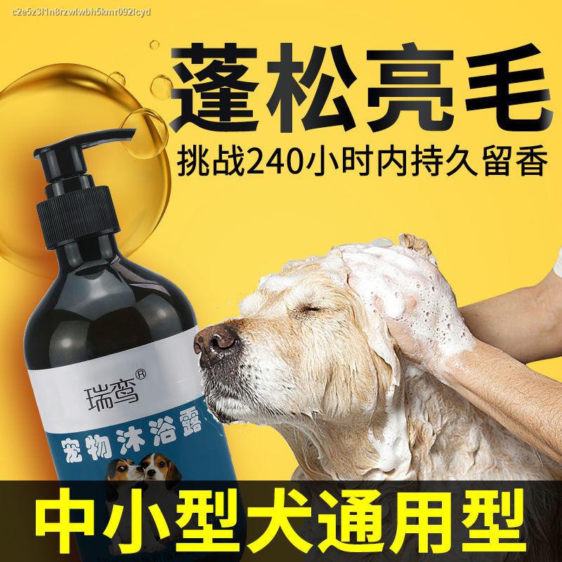 Cogetine โคจีติน ป้ายตา ฆ่าเชื้อ ลดตาอักเสบ สำหรับสัตว์เลี้ยง ...