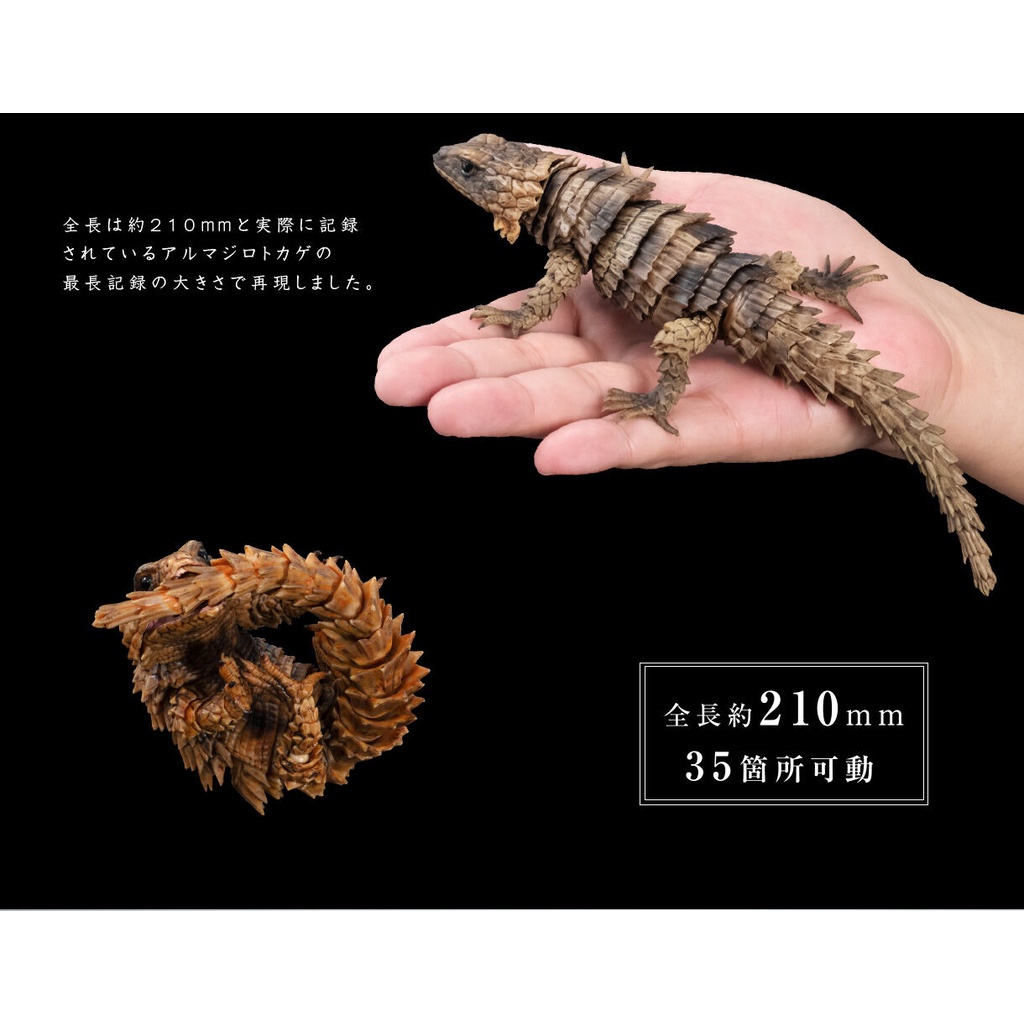 (มีของพร้อมส่ง) กาชาปองกิ้งก่ามังกร Gashapon Bandai Premium Armadillo ...