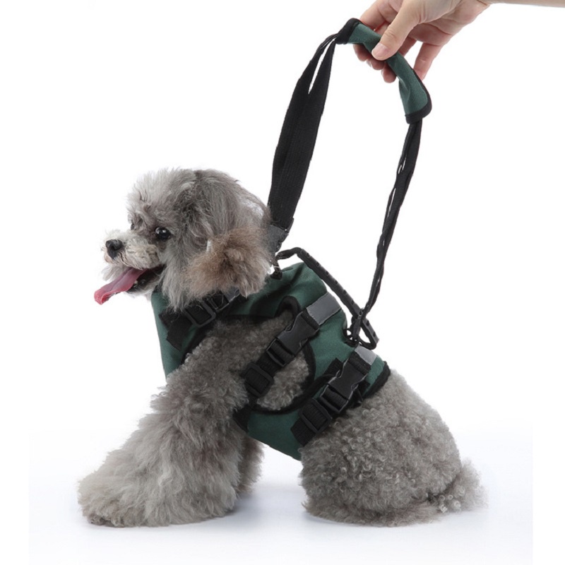Pet Multifunctional Chest Strap Breathable Assist Sling Hand Carry ...