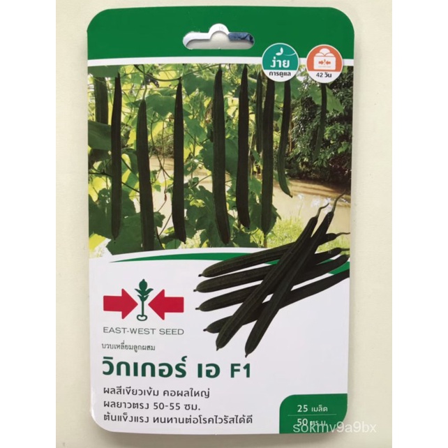 เมล็ดพันธุ์คุณภาพสูงในสต็อกในประเทศไทยSORNDAENG ผักซอง ศรแดง S095 บวบเหลี่ยมลูกผสม วิกเกอร์เอ F1 ...