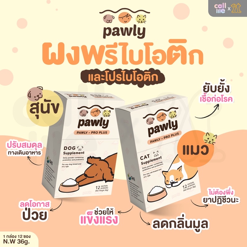 Pawly-Pro plus Synbiotic ผงพรีไบโอติกและโปรไบโอติก สำหรับแมวและสุนัข 36g 1 กล่องบรรจุ - dogclub ...
