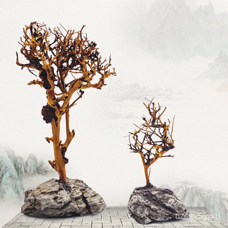 Wood Fish Tank Driftwood Natural Moss Tree Purple Teak Trunk Driftwood ...