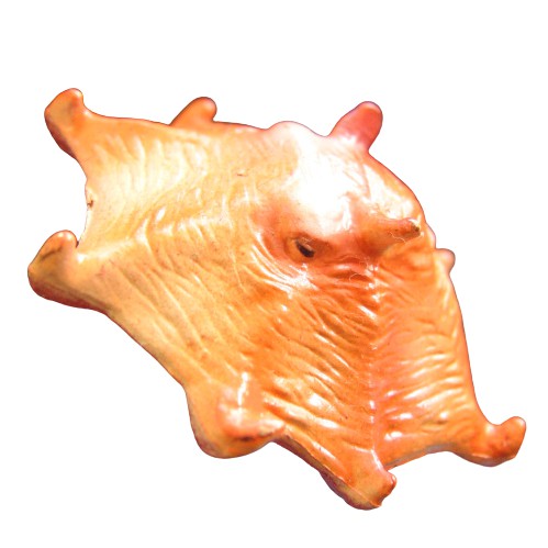 Flapjack Octopus ถูกที่สุด พร้อมโปรโมชั่น พ.ค. 2023|BigGoเช็คราคาง่ายๆ