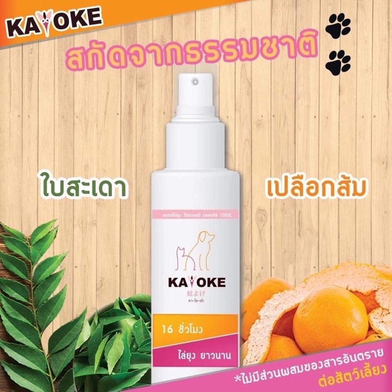 ราคาพิเศษ ถึง 151065 ถูกที่สุด(12 ขวด) KAYOKE สเปรย์สูตรอ่อนโยนสำหรับ ...