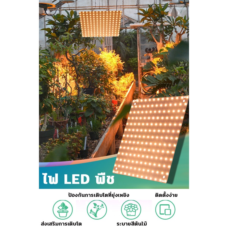 กัญชา พืชเติมแสง ไฟปลูกต้นไม้ LED 169 ไฟปลูกพืช เต็มสเปกตรัม แสงอาทิตย์ ไฟปลุกต้นไม้ ไฟช่วย ...