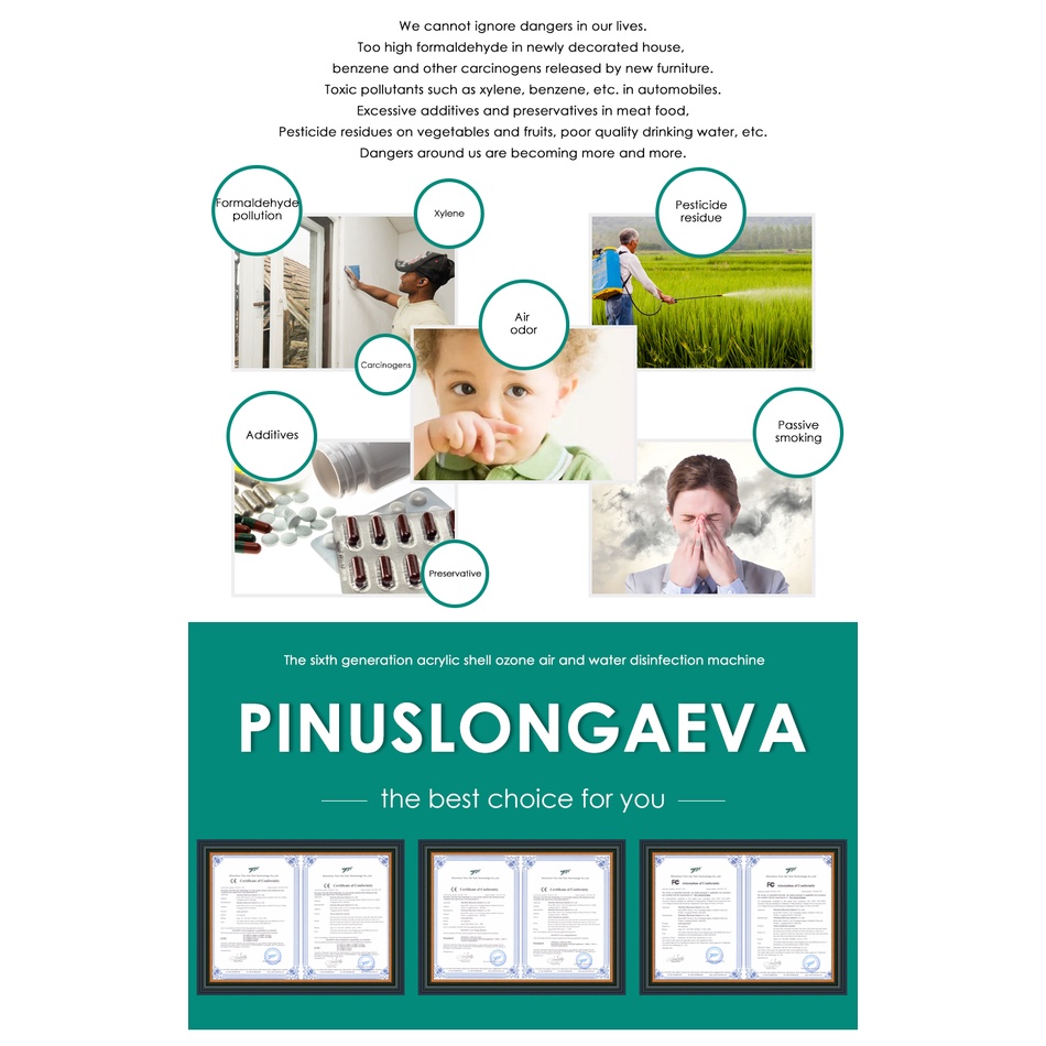 Pinus longaeva Factory outlet BO-100QY 0-10g/h 1 5 7 10gram adjustable ...