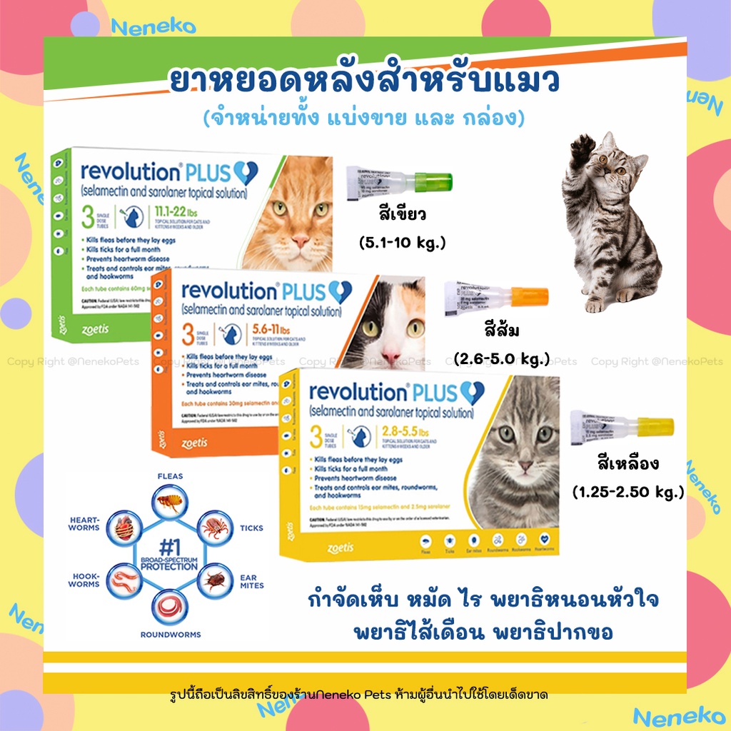 (ล็อตใหม่ล่าสุด) ยาหยอดหลัง Revolution Plus กำจัดเห็บหมัด สำหรับแมว ...