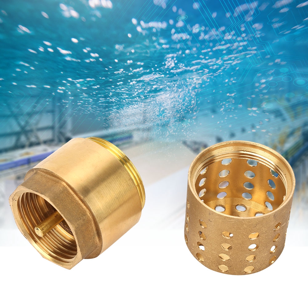 Brass One Way Female Thread Foot Valve Mesh Check Valve with Holes ...
