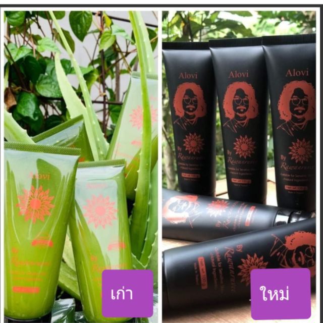 Alovi เจลว่านหางจระเข้ป๋า (ใหม่ หลอดดำ) - yupinpromkan - ThaiPick