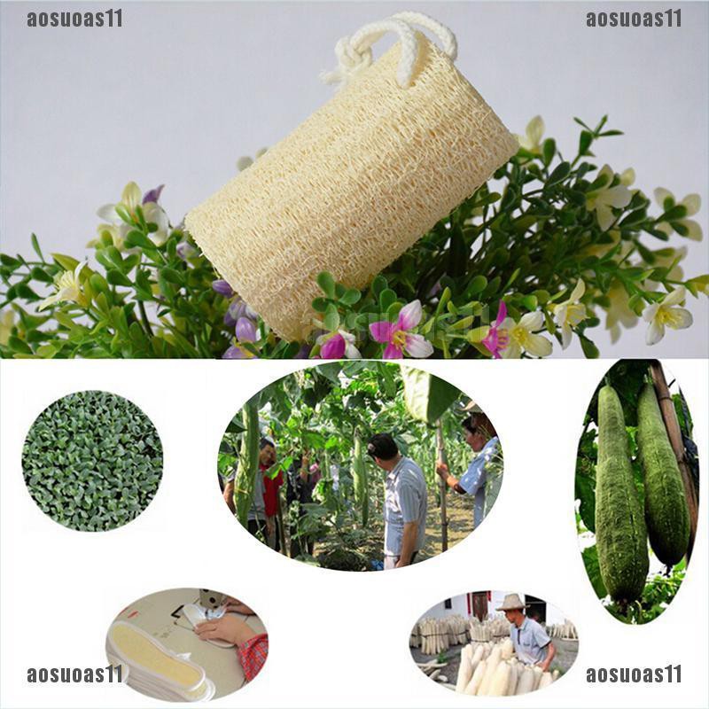 aosuOAS1X Natural Loofah Luffa Loofa Sponge Bath Shower Spa and Body ...