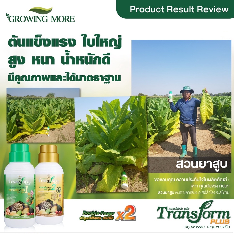 ซื้อ 4 (1 ลิตร) ฟรี 1 ขวด (500 cc.) ทรานส์ฟอร์ม พลัส สูตร 1 สีเขียว เพิ่มผลผลิต ปริมาณ ขนาด ...