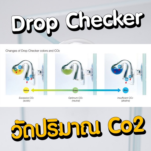 Drop checker for measure CO2 content in aquarium water | Shopee Thailand