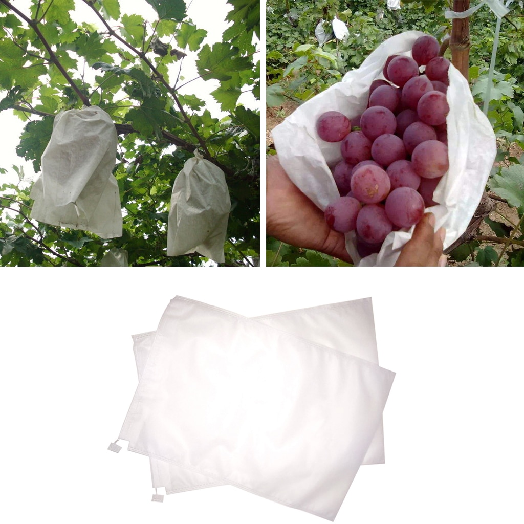 100PcsLot Fruit Vegetable Protection Bag Grapes Mesh Bag Against Insect ...