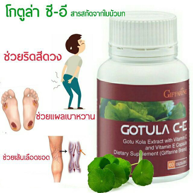 ส่งฟรี โกตูรา ซีอี กิฟฟารีน Gotula C-E สารสกัดใบบัวบก รักษาแผลเบาหวาน ...
