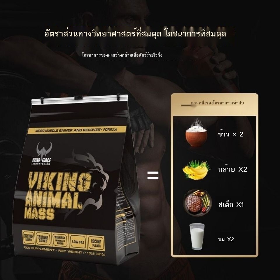 VIKING Viking Beast Muscle Gainer เพาะกาย Weight Gainer Powder เวย์ ...
