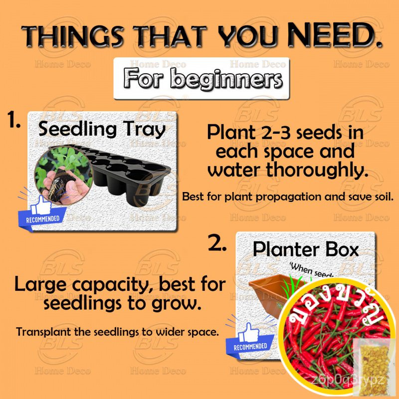 V16 LEEK JC GARDEN VEGETABBLE SEED BIJI BENIH KUCHAI母婴通心菜玫瑰木瓜上衣园艺芹菜种子 ...