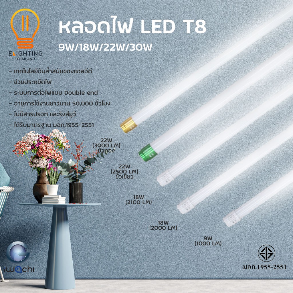 [Elighting] หลอดไฟLED T8 9W/18W/22W/30W/40W หลอดนีออน หลอดไฟยาว ขั้วสีเขียว ขั้วสีทอง | Shopee ...