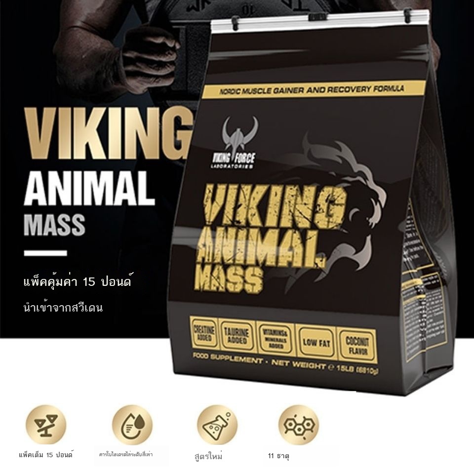 VIKING Viking Beast Muscle Gainer เพาะกาย Weight Gainer Powder เวย์ ...