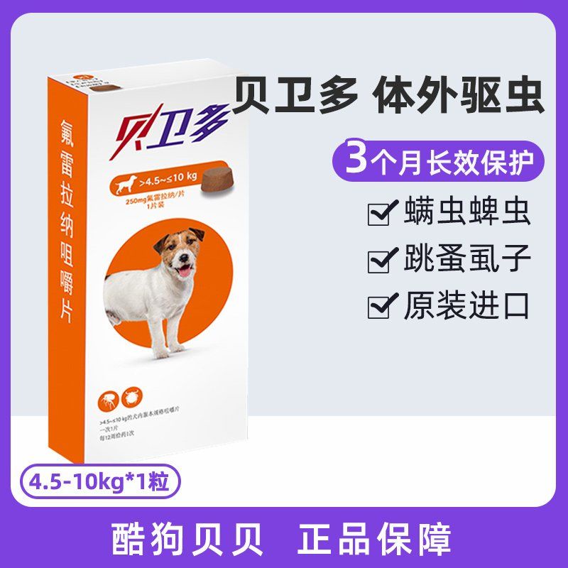 fCpJ สุนัขตัวเล็ก, สุนัขตัวเล็ก, สุนัขตัวเล็ก4.5-10kgสุนัขสุนัขการงาน ...