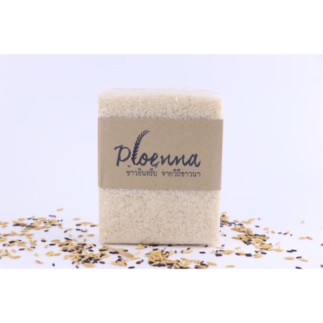 ข้าวเพลินนา ข้าวหอมมะลิ บรรจุถุงสุญญากาศ 1กิโลกรัม [Ploenna rice : Thai ...