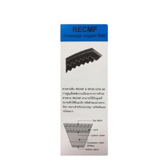 MITSUBOSHI สายพานฟัน RECMF 8290-8500 เป็นสายพาน ร่อง B | Shopee Thailand