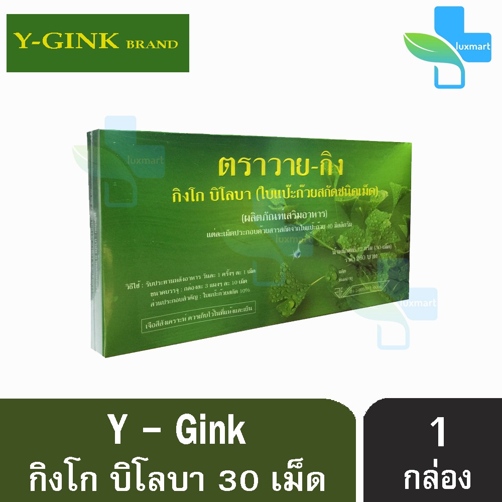 Y-Gink Ginkgo Biloba วาย กิง กิงโก บิโลบา ใบแป๊ะก๊วยสกัด 30 เม็ด 1 ...