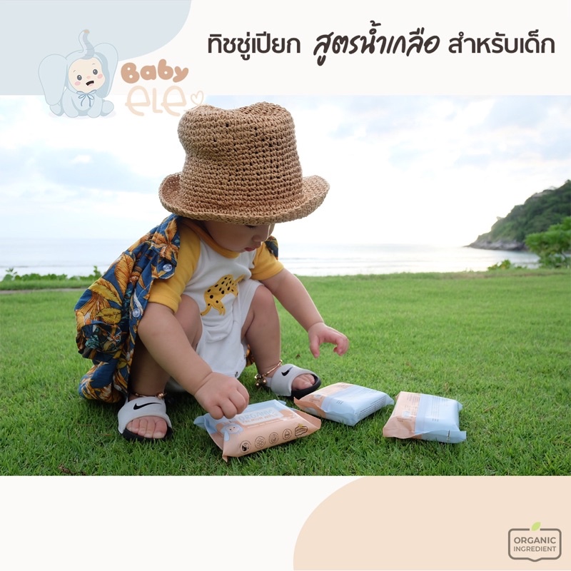 ทิชชู่เปียก สำหรับแม่และเด็ก KUL Baby Wipes ผ้าเปียก น้องนกยูง food ...