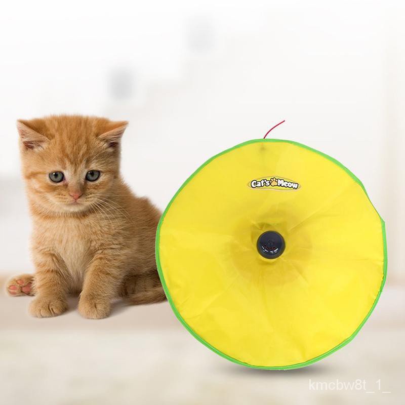 Lifesta Cats Meow Motorized Wand Moving Mouse Cat Toys Undercover Cat ...