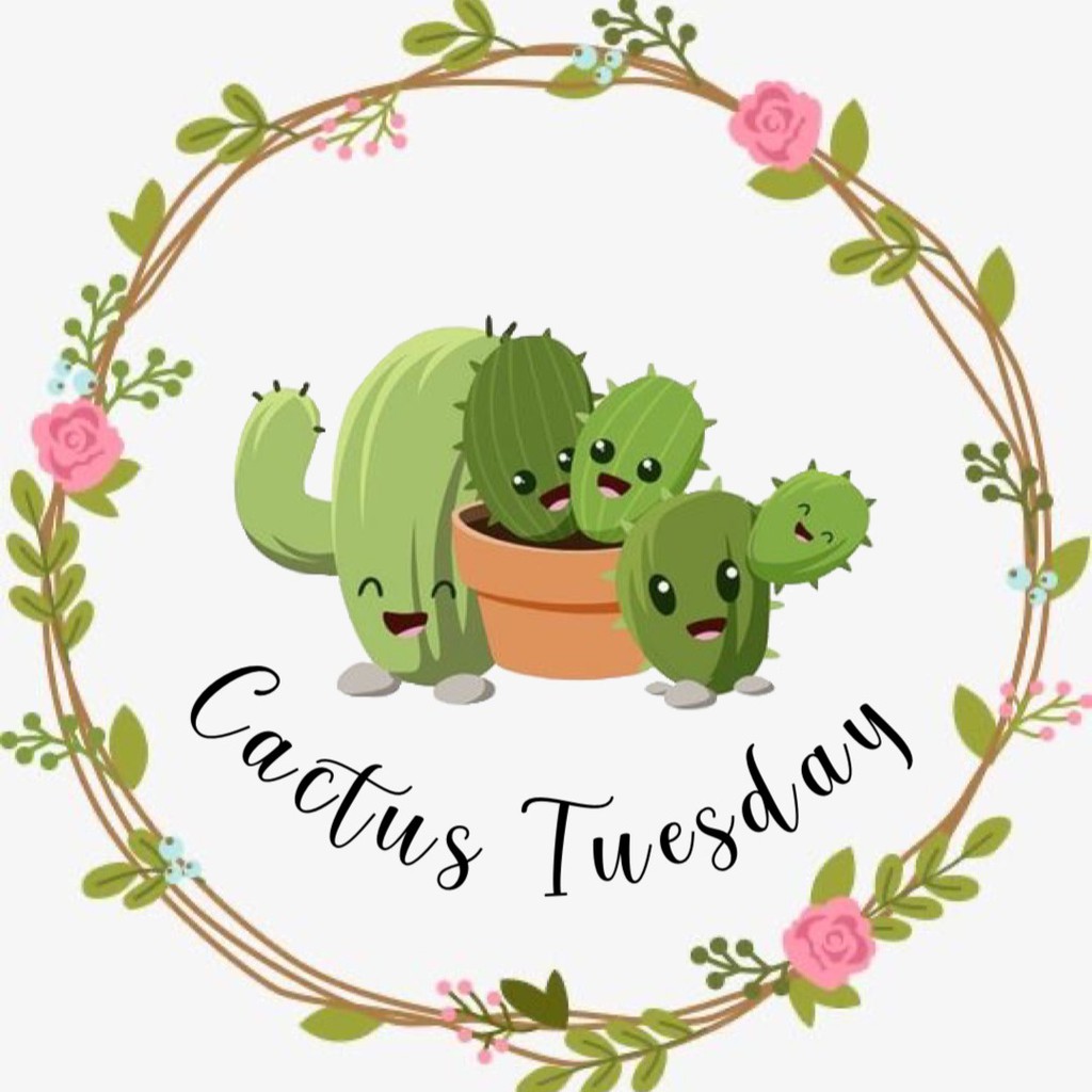 Cactus Tuesday, ร้านค้าออนไลน์ | Shopee Thailand