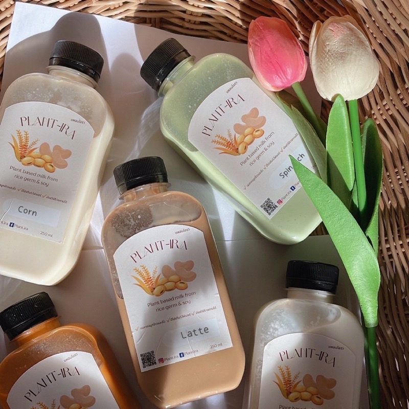 Plant-ira เครื่องดื่มเพื่อสุขภาพจากพืช 100 plant based drinks - plant ...