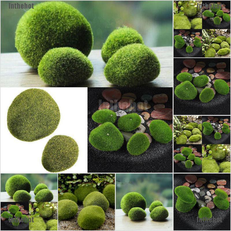 REBUY Creative Simulation Grass Simulation Plants Micro Landscape Decor ...