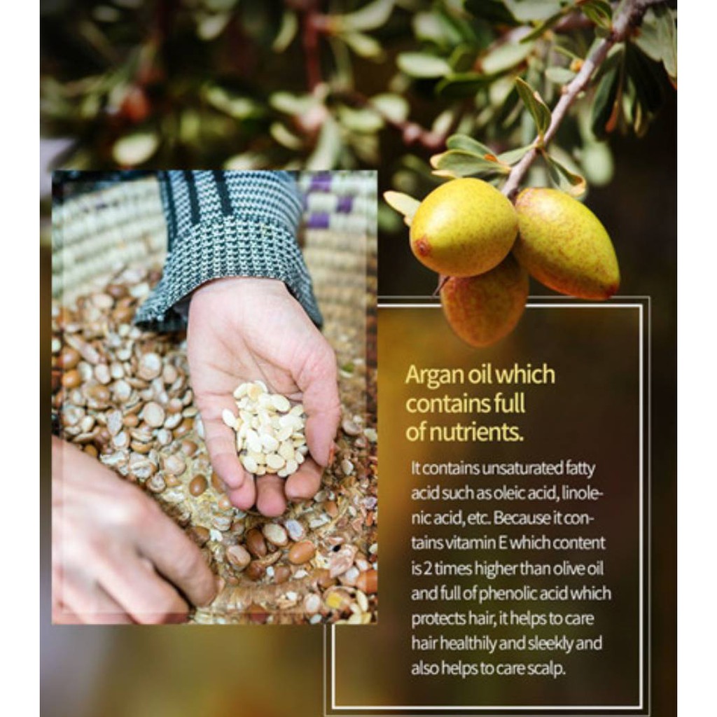 Raip Rs Morocco Argan Oil Shampoo 500 ml. ( MADE IN KOREA ) - v ...