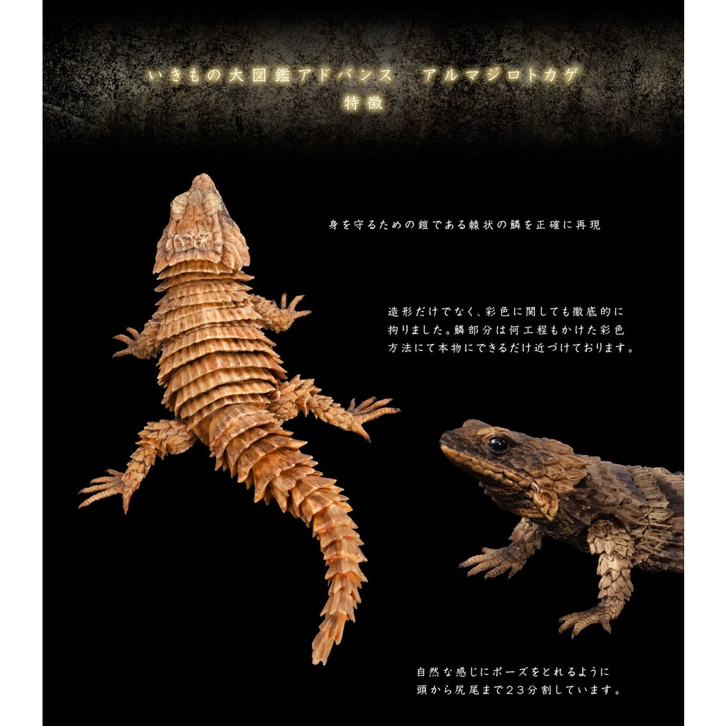 (มีของพร้อมส่ง) กาชาปองกิ้งก่ามังกร Gashapon Bandai Premium Armadillo ...