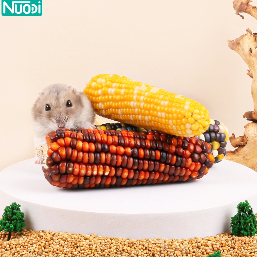 สติ้กเเท่งรวมรส Smakers อาหารเเทะลับฟัน สำหรับสัตว์ฟันเเทะ - kanruethai420 - ThaiPick