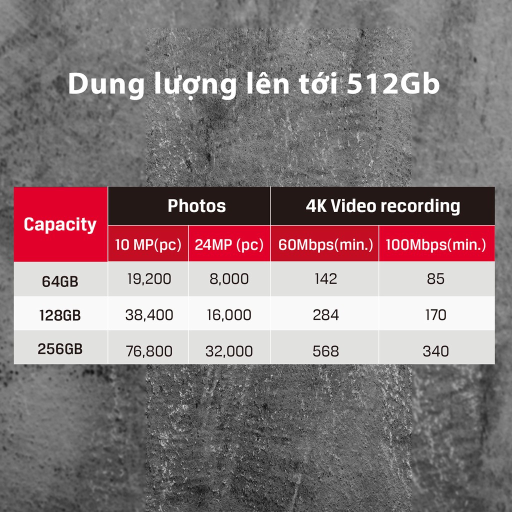 Kingston Canvas React Plus micSDXC memory card for 8K video recording ...