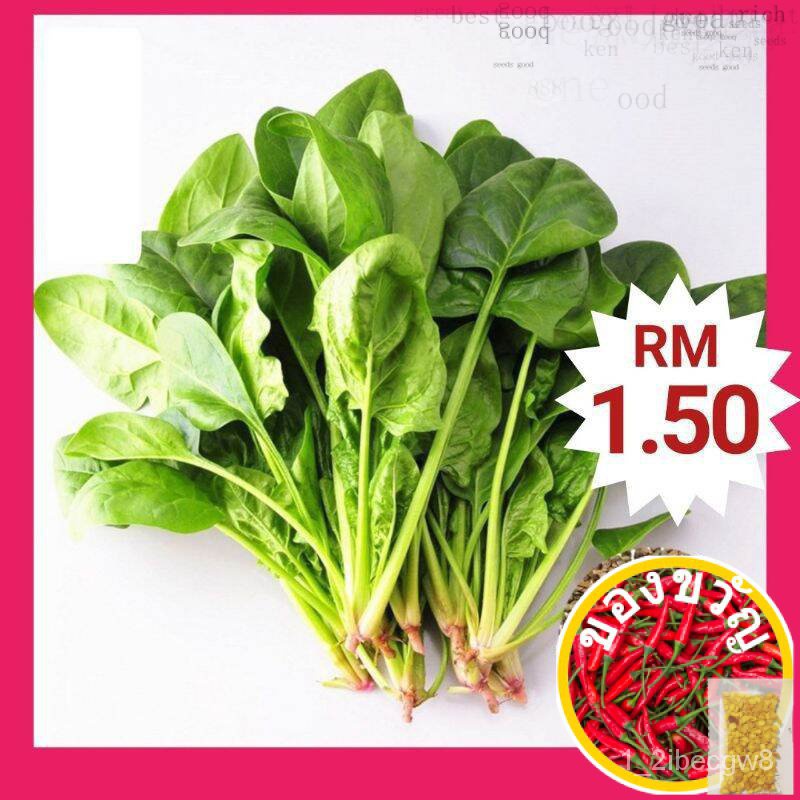 【Ready Stock】 50＋ Jenis Vegetables Seed Biji Benih Sayur-sayuran เมล็ด ...