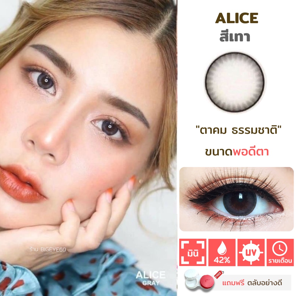 (mini) Alice Gray คอนแทคเลนส์ Wink - optixmoon - ThaiPick