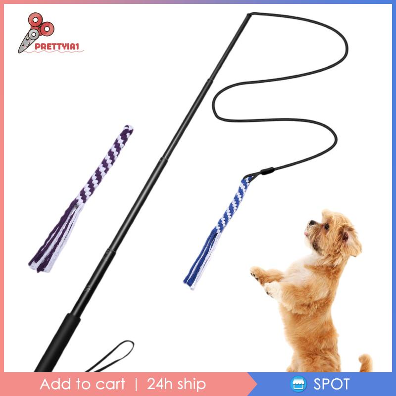 Retractable Dog Interactive Stick Extendable Flirt Pole Funny Chasing ...
