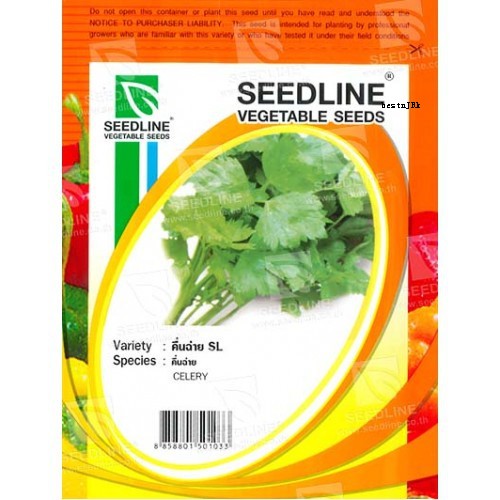 คื่นฉ่าย SL SEEDLINE - pokv0_5mde - ThaiPick
