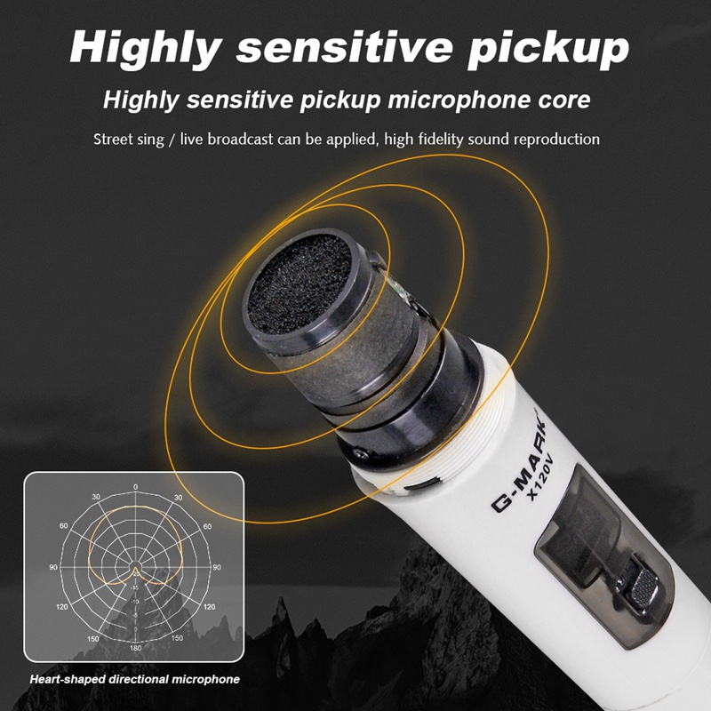 G-MARK X120V Professional Wireless Microphone Recording Studio Karaoke ...