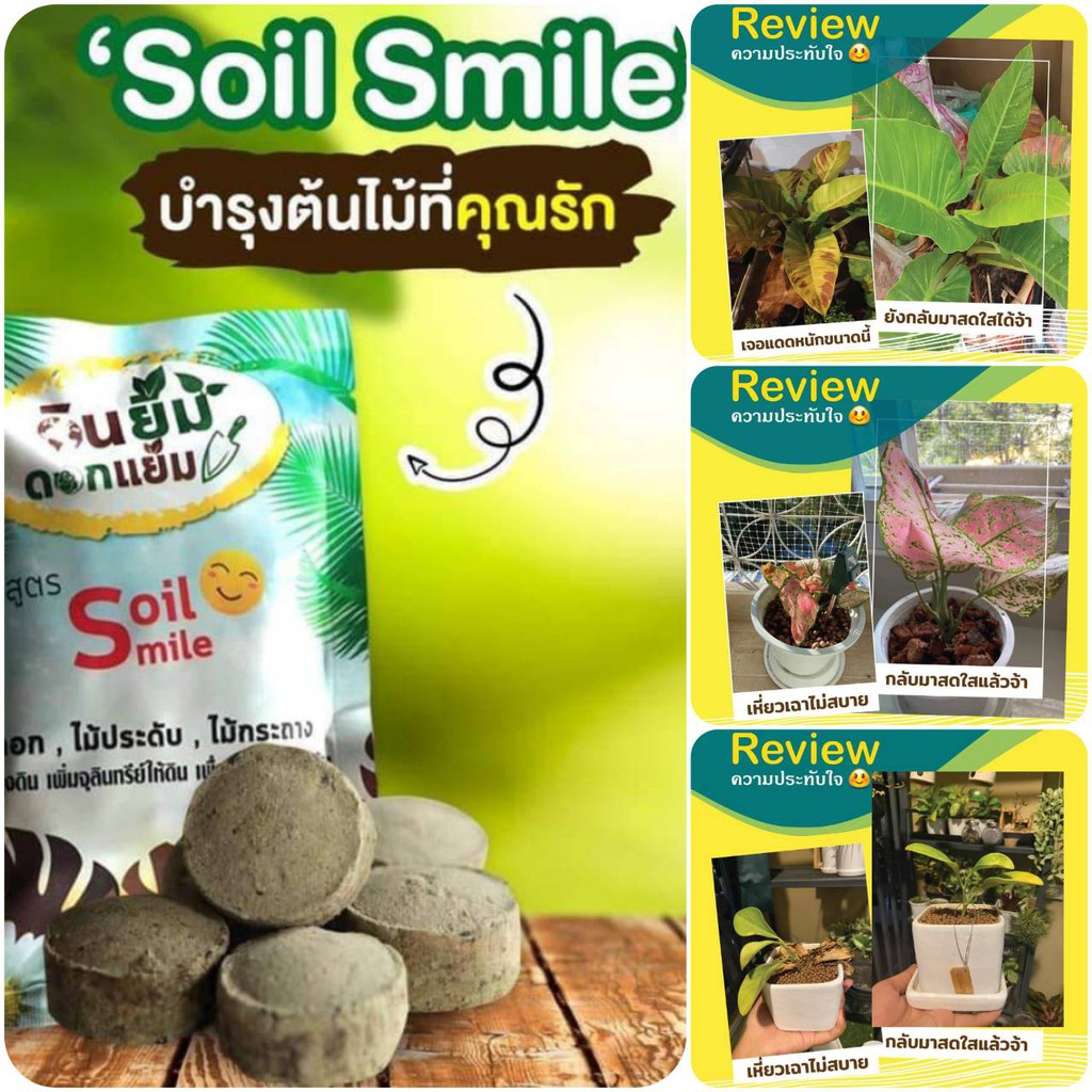 Sai_Sai Shop, ร้านค้าออนไลน์ | Shopee Thailand