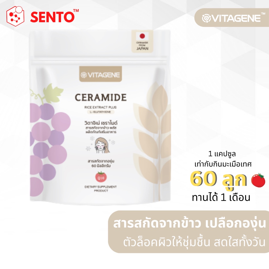 1แถม1 วิตาจิเน่ เซราไมด์ สารสกัดจากข้าว พลัส (VITAGENE Ceramide Rice ...