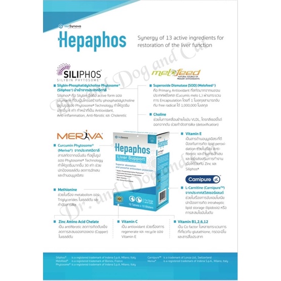 Hepaphos Liver Support à¹€à¸®à¸›à¸žà¸²à¸Ÿà¸­à¸ª à¸¢à¸²à¸šà¸³à¸£à¸¸à¸‡à ...