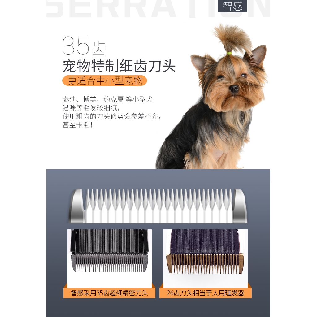ปัตตาเลี่ยนสัตว์เลี้ยงสัตว์เลี้ยง Clipper Satsuma ปัตตาเลี่ยนสัตว์ ...