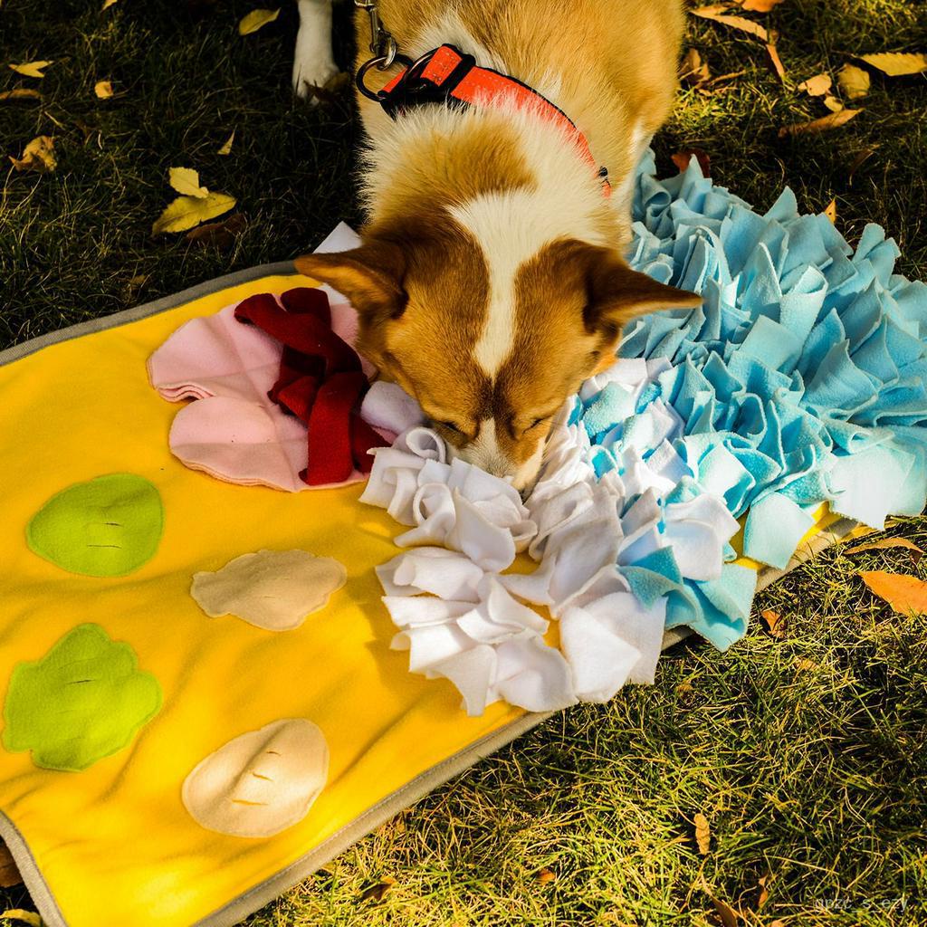 Ready Stock(L)Dog Sniff Training Mat Foraging Food Slow Feeding Release ...